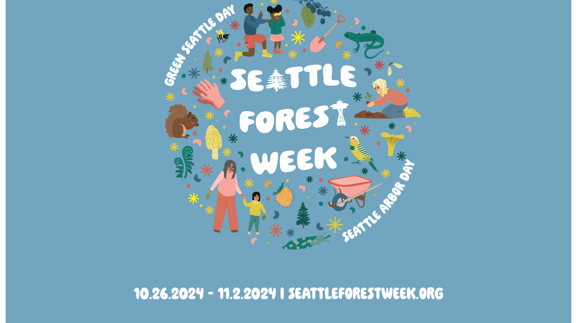 Seattle Forest Week at Discovery Park Visitor Center | Seattle Area ...