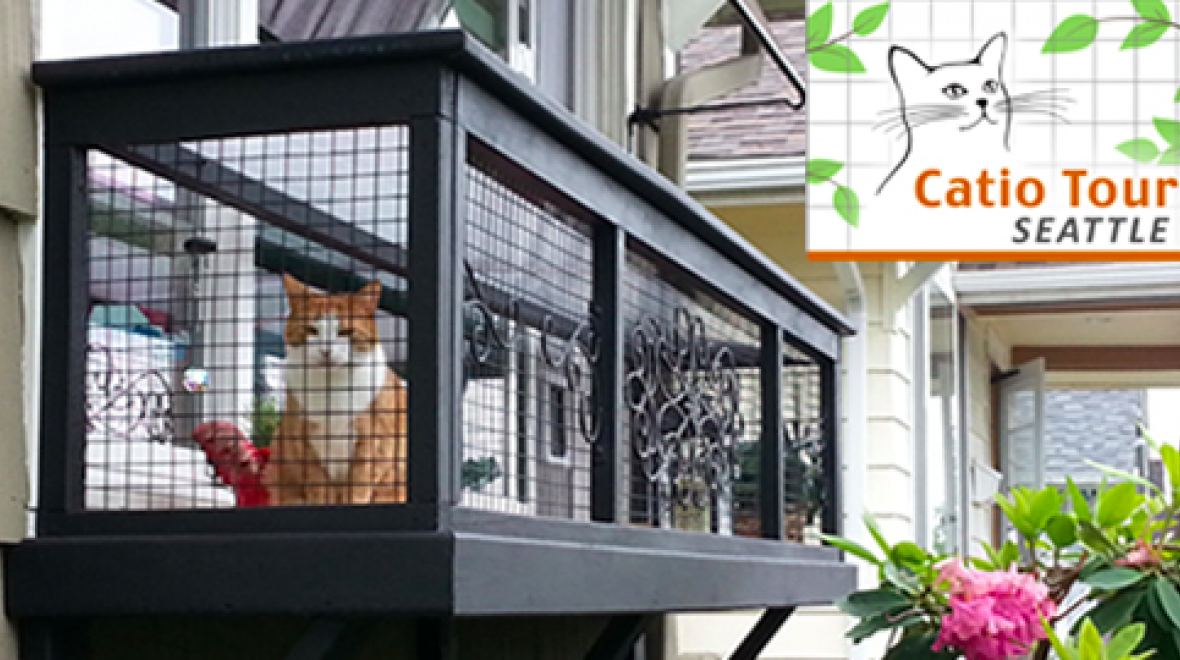 Catio Tour Seattle | Seattle Area Family Fun Calendar | ParentMap
