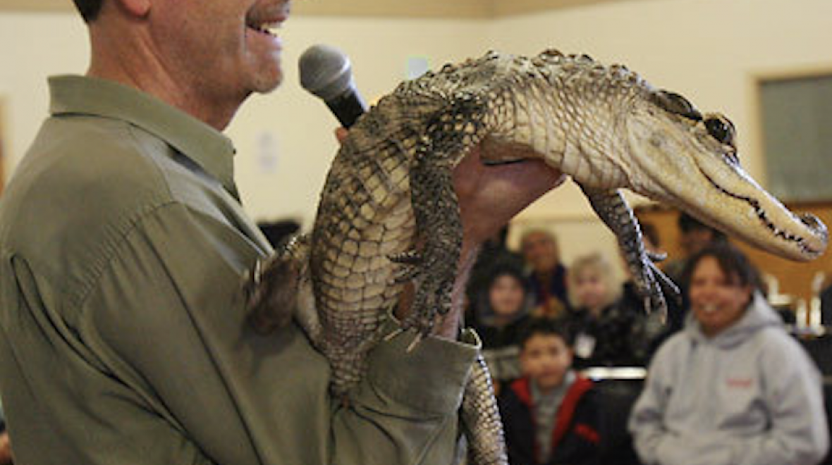 Second Saturday Spectacular: The Reptile Man | Seattle Area Family Fun ...