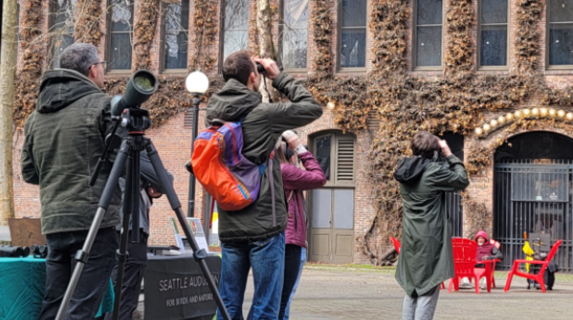 A Closer Look at City Birds with Seattle Audubon | Seattle Area Family ...