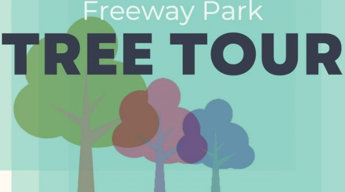 Tree Tour in Freeway Park | Seattle Area Family Fun Calendar | ParentMap
