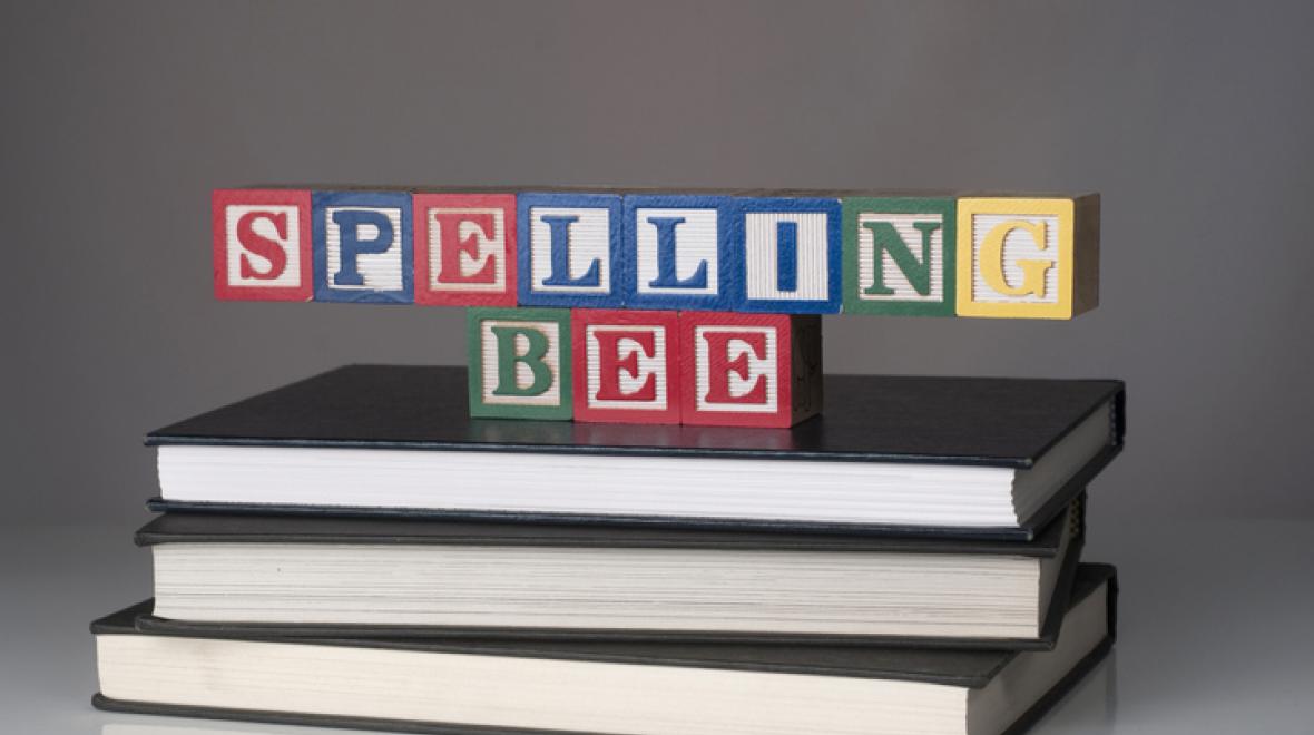 Bee Prepared! | Seattle Area Family Fun Calendar | ParentMap