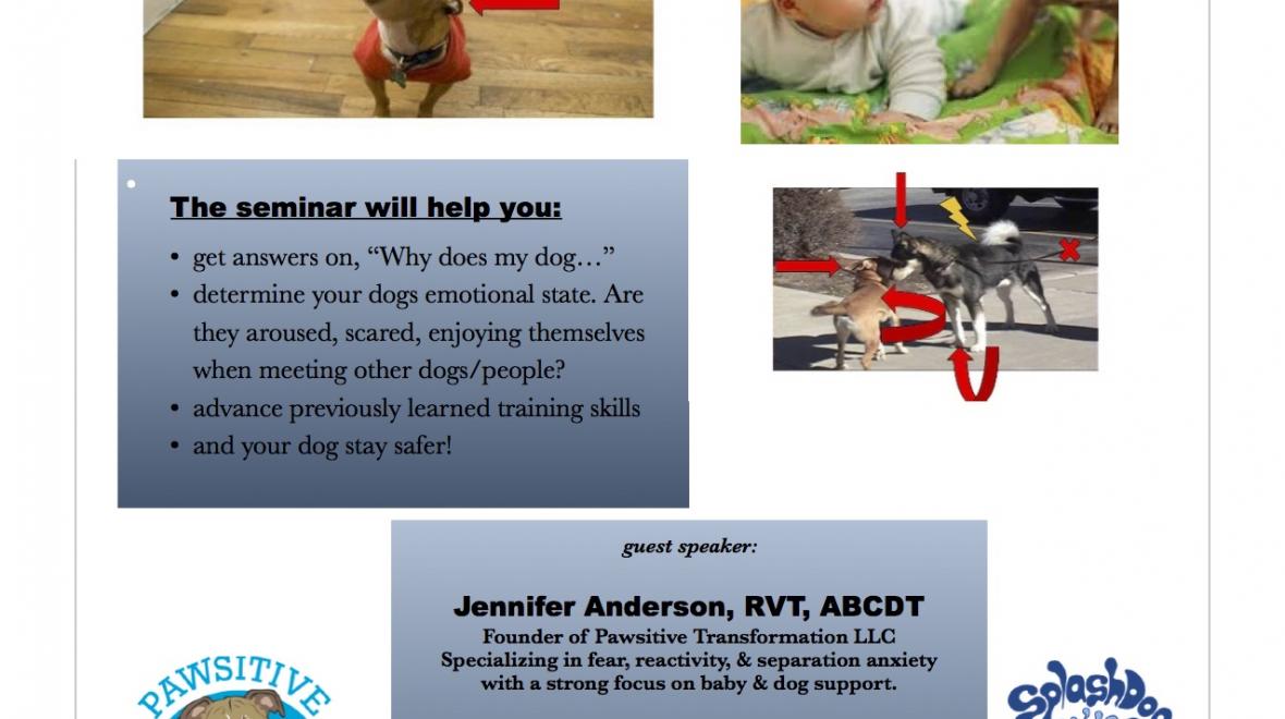 K9 Body Language: Understanding All Dogs | Seattle Area Family Fun ...