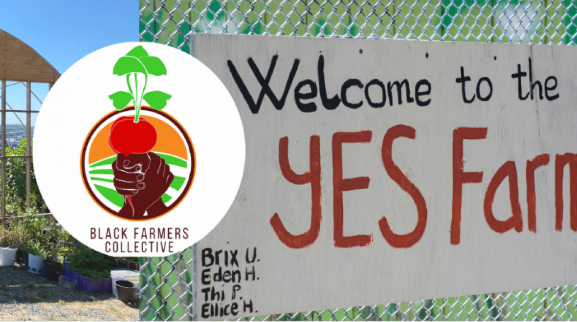 The Power of Community Gardens Tour with the Black Farmers Collective ...