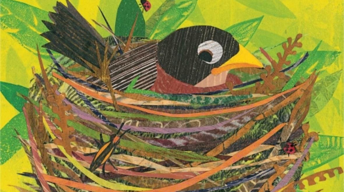 Nature Exploration & Crafts: This is the Nest that Robin Built ...