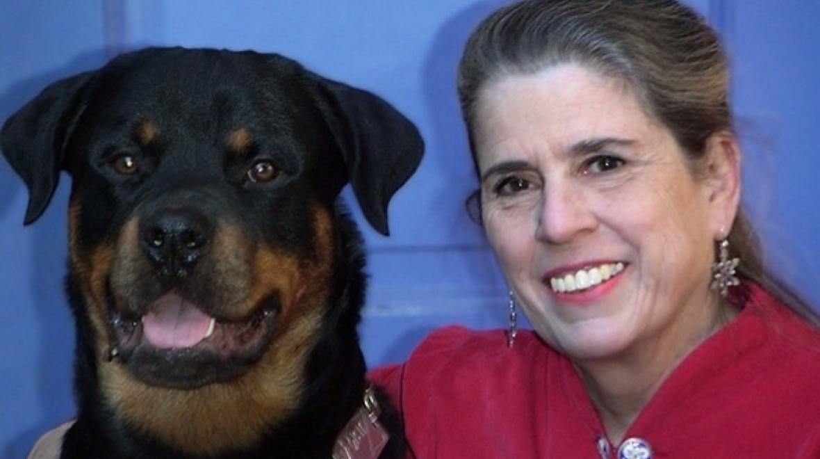 40th Anniversary Celebration of ‘Good Dog, Carl’ | Seattle Area Family ...