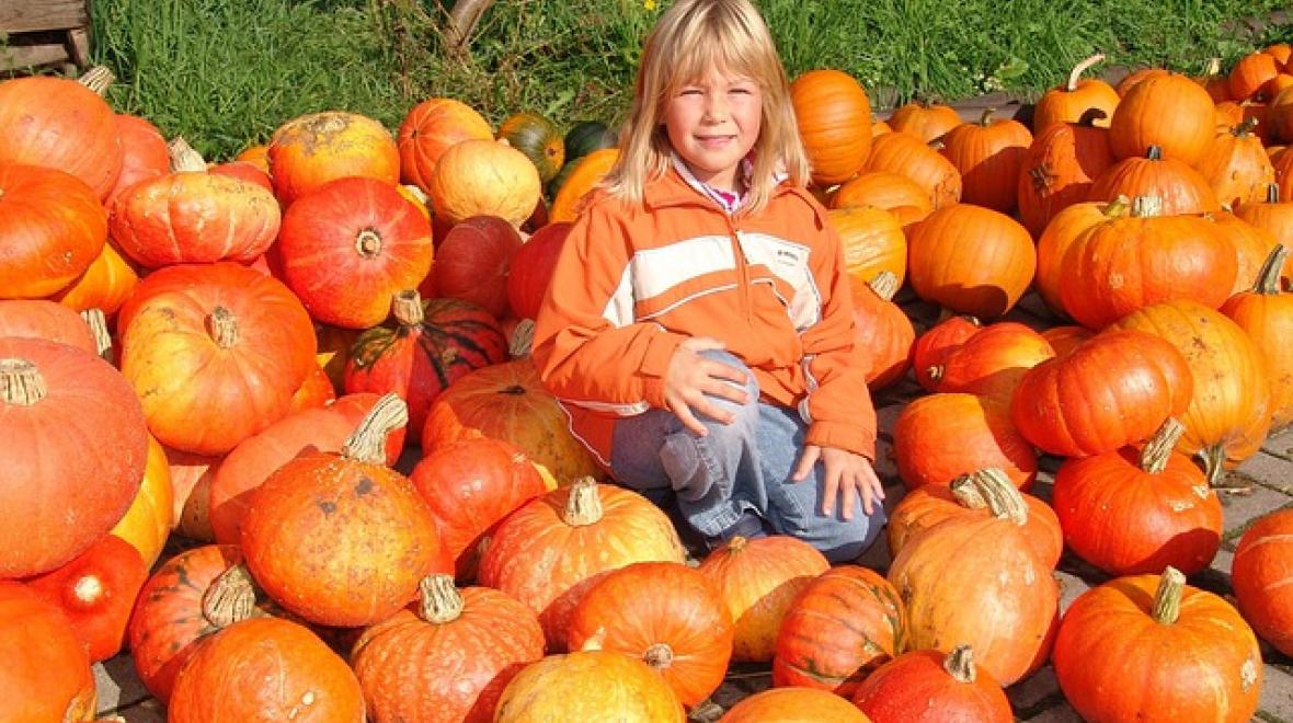 Remlinger Farms Fall Harvest Festival | Seattle Area Family Fun ...