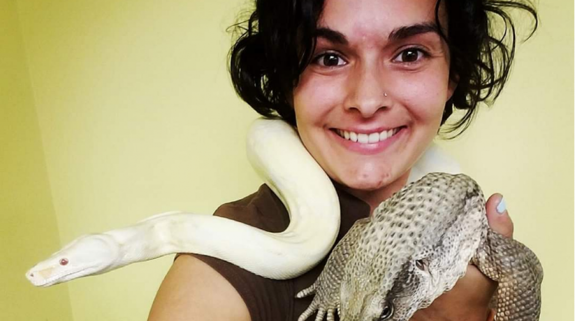 Play in the Parks: Creature Teachers | Seattle Area Family Fun Calendar ...