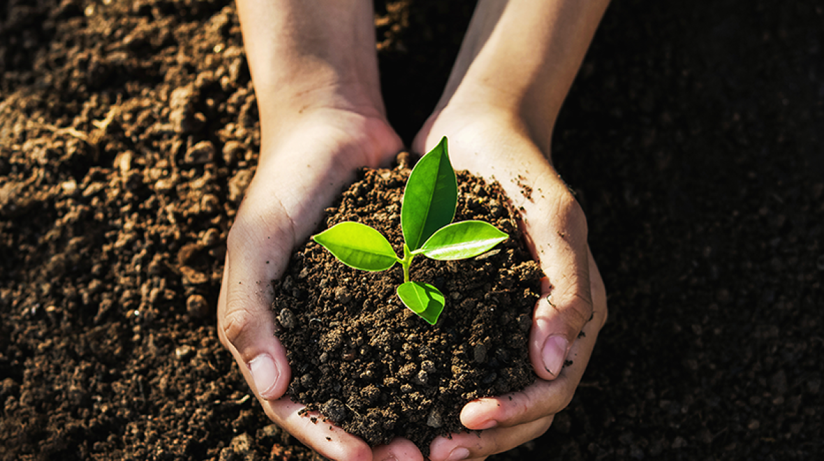 Hooray Earth Day at the Valley View Library | Seattle Area Family Fun ...