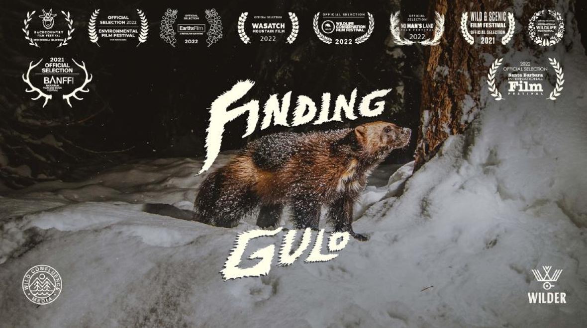 Science & a Movie: Finding Gulo | Seattle Area Family Fun Calendar | ParentMap