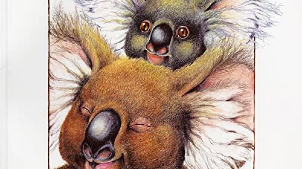 Koala Lou: Outdoor Performance at Sammamish Library | Seattle Area ...