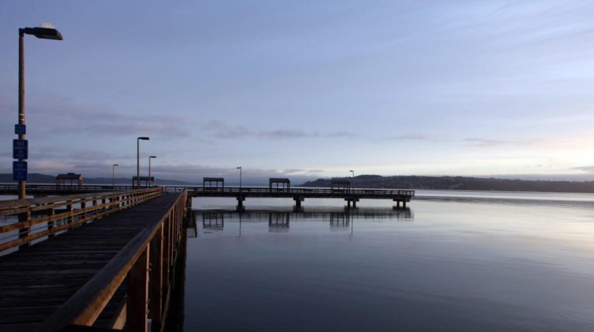 Pigeon Watching at Les Davis Pier | Seattle Area Family Fun Calendar ...