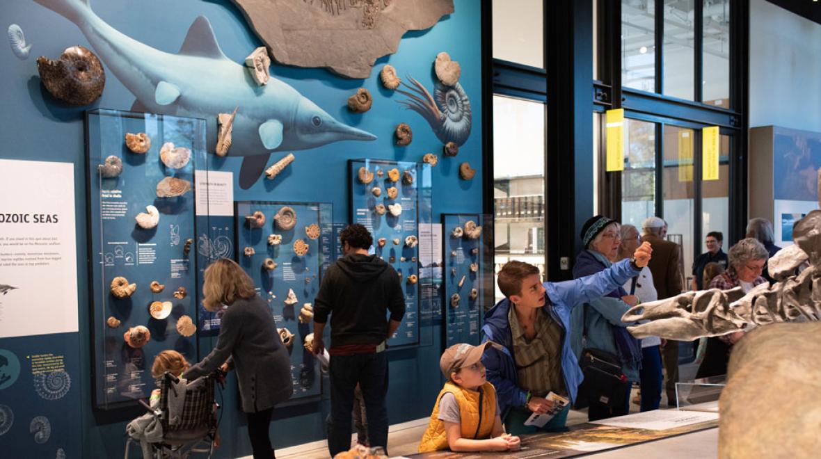Fossil Finders: Mesozoic Monsters | Seattle Area Family Fun Calendar ...