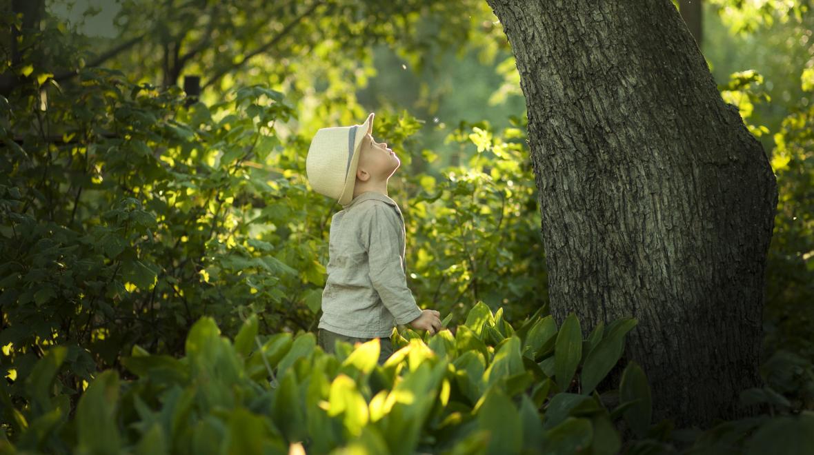 Tree Tour '22 Kids Edition at Lake Wilderness Arboretum | Seattle Area ...