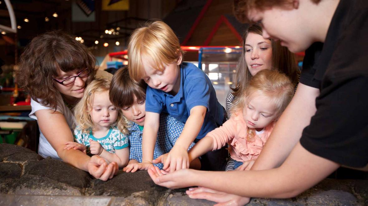 Play Lab: Topsy Turvy Thinking | Seattle Area Family Fun Calendar ...