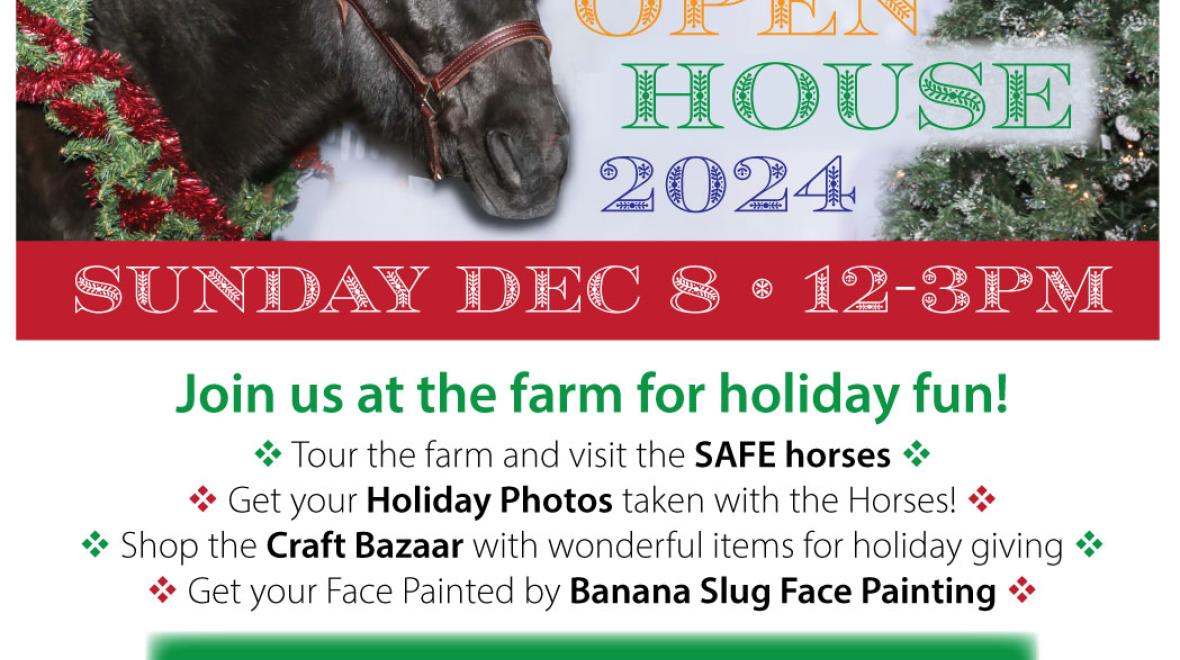 SAFE Holiday Open House and Craft Bazaar | Seattle Area Family Fun ...