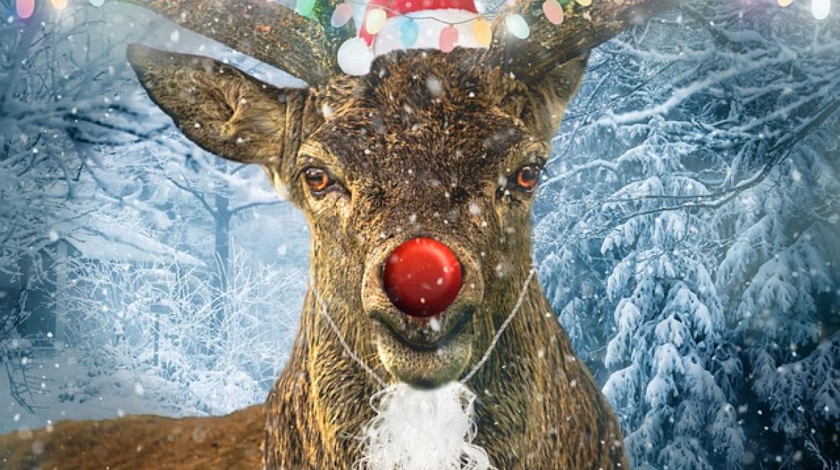 Rudolph and Other Holiday Stories | Seattle Area Family Fun Calendar ...