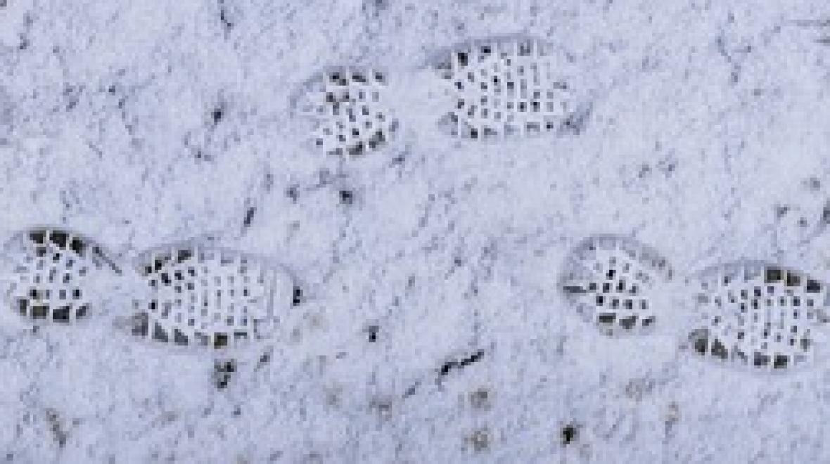 Mid-Winter Walk | Seattle Area Family Fun Calendar | ParentMap