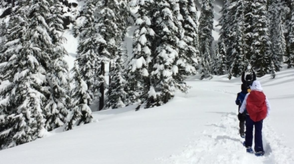 Family Snowshoe Hikes | Seattle Area Family Fun Calendar | ParentMap