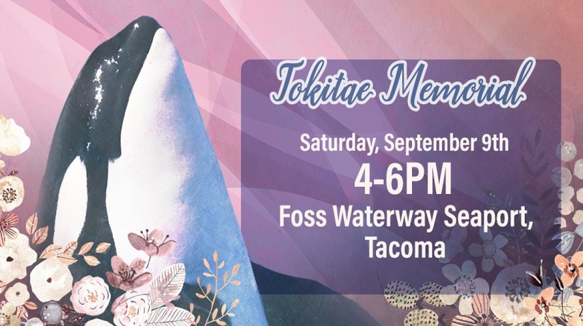 Memorial for Tokitae | Seattle Area Family Fun Calendar | ParentMap