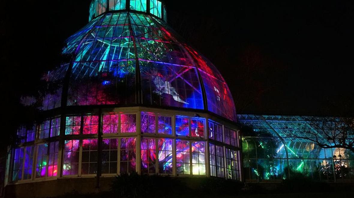 Lusio Lights Family Night | Seattle Area Family Fun Calendar | ParentMap