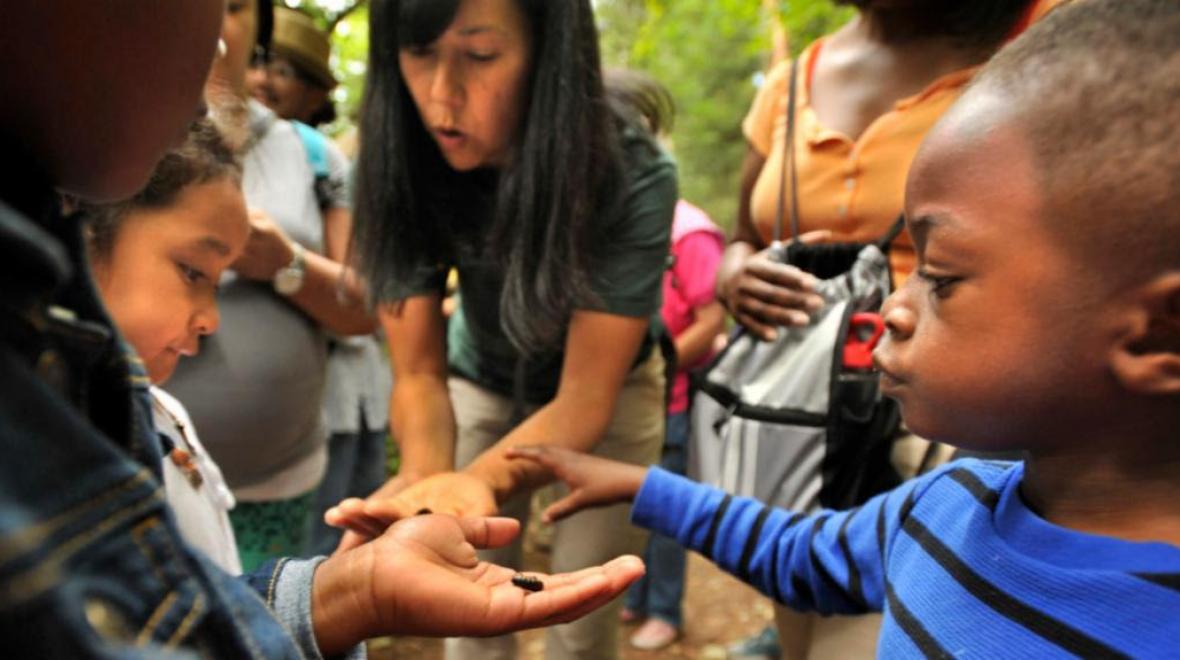 Nature At Night - Nocturnal Nature Program | Seattle Area Family Fun ...