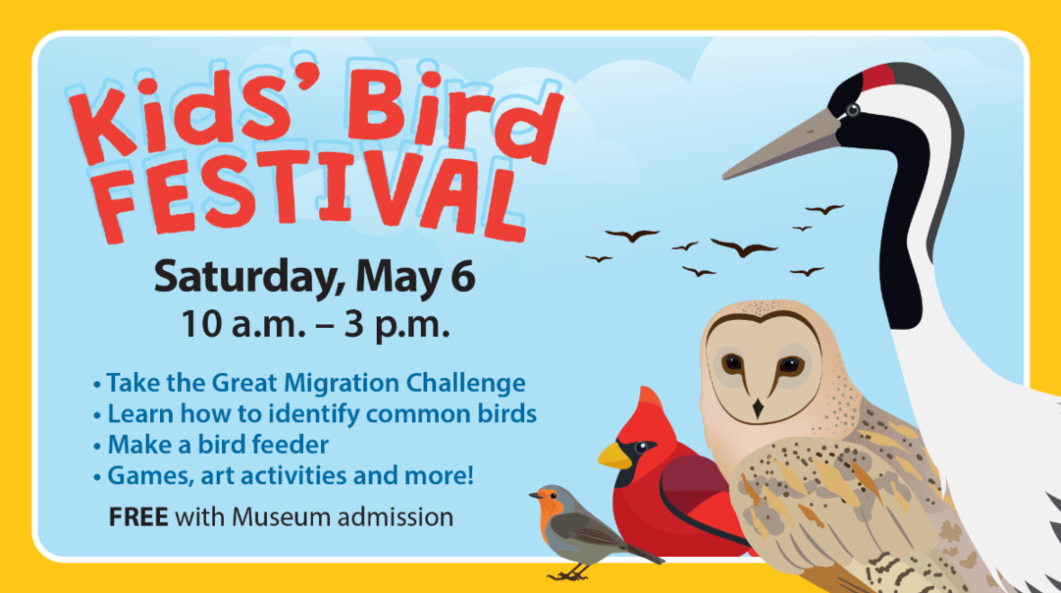 Kids' Bird Festival | Seattle Area Family Fun Calendar | ParentMap