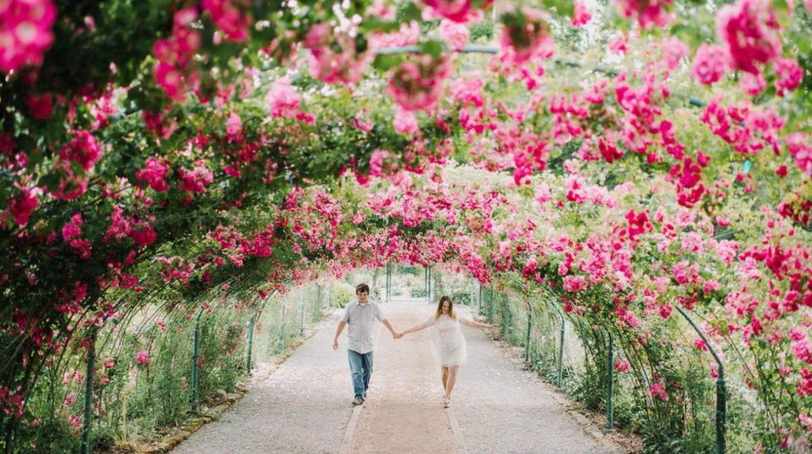 Point Defiance Flower & Garden Festival | Seattle Area Family Fun ...