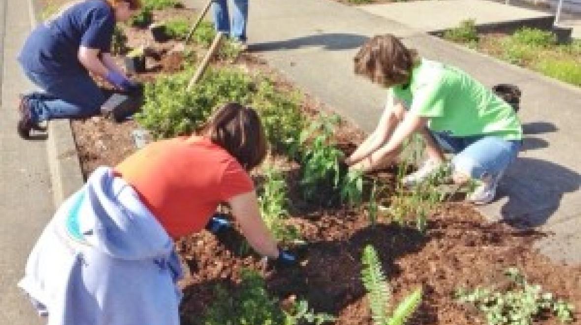 Volunteer Garden Work Party (CALL TO VERIFY) | Seattle Area Family Fun ...
