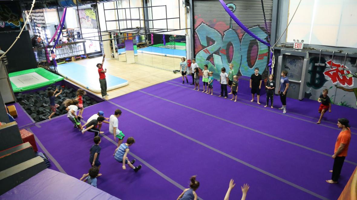 King of Jungle Virtual Class (Parkour Based) with Brooklyn Zoo NY ...