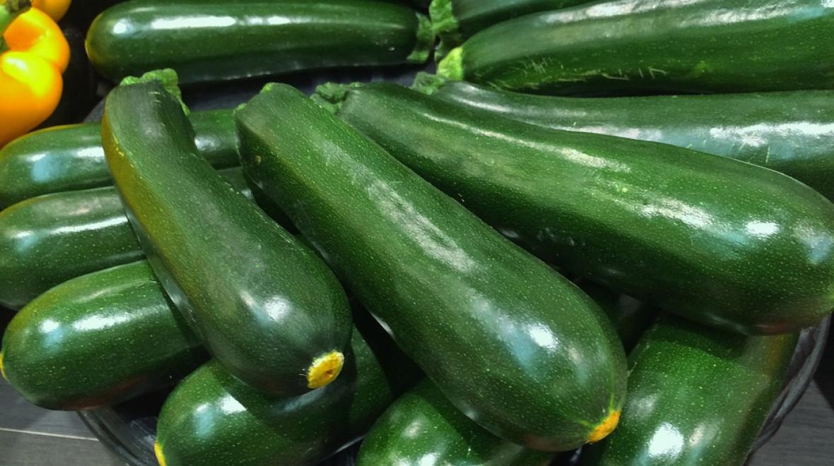 Zucchini 500 | Seattle Area Family Fun Calendar | ParentMap