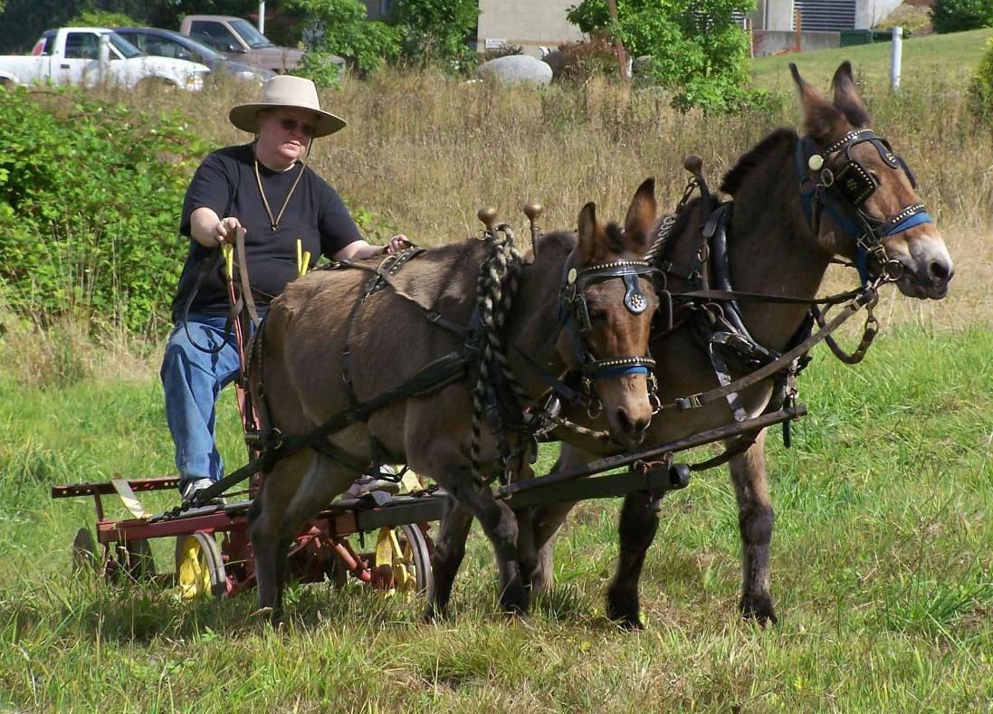 Duvall Heritage Festival | Seattle Area Family Fun Calendar | ParentMap