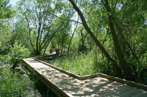 Halloween Swamp Stomp at Yesler Swamp | Seattle Area Family Fun ...