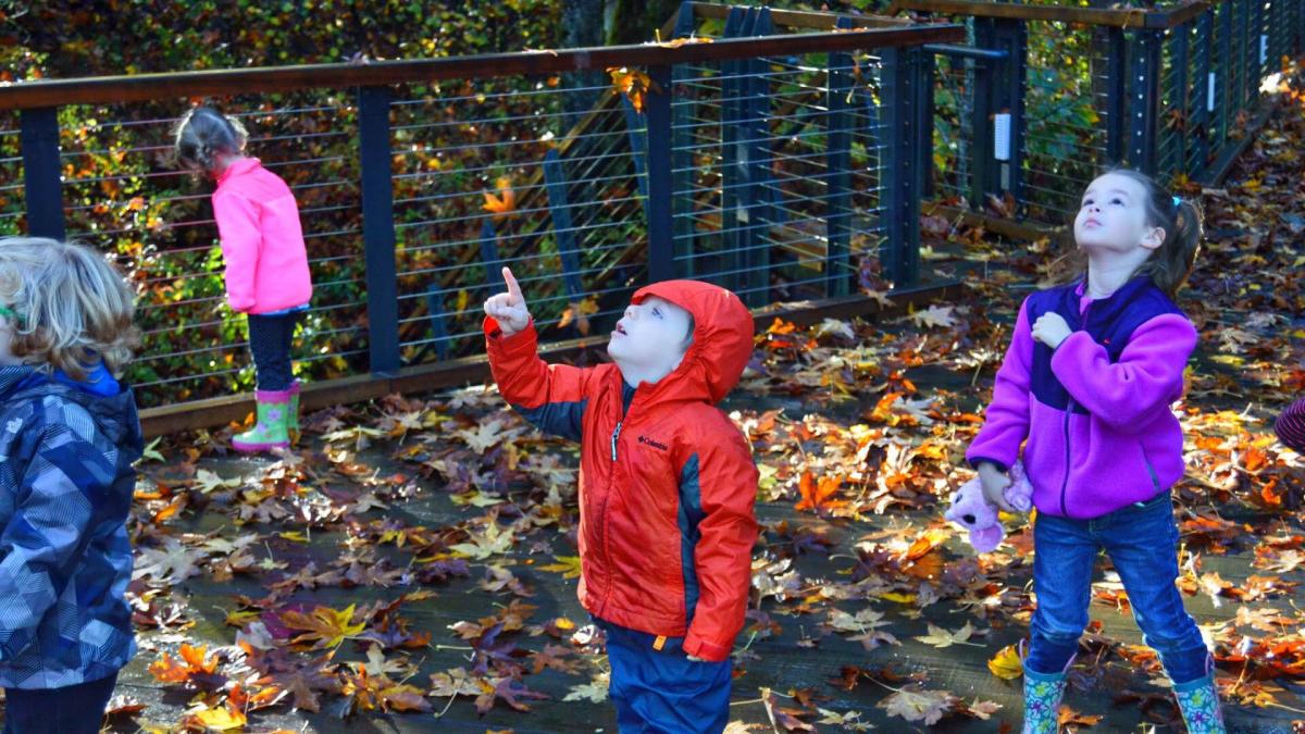 Wetland Waddlers | Seattle Area Family Fun Calendar | ParentMap