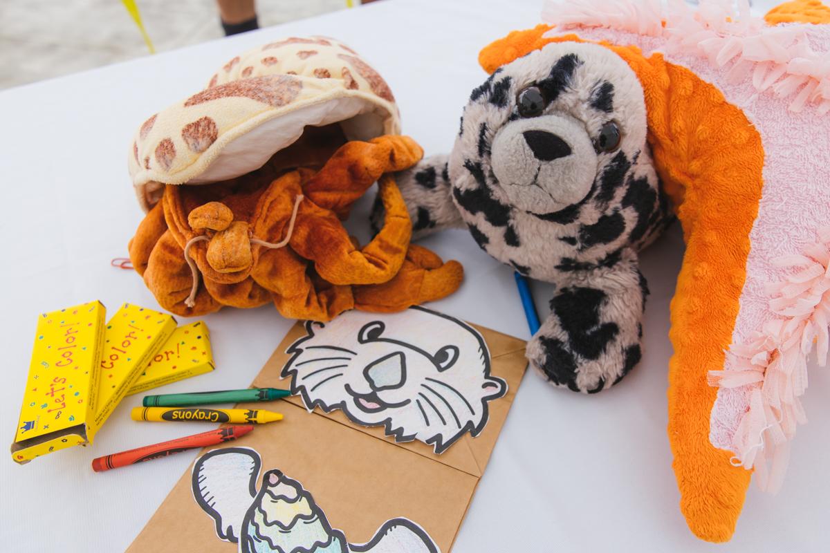 Seattle Aquarium Fun at Pier 62: Harbor Seal Baby Shower | Seattle Area ...