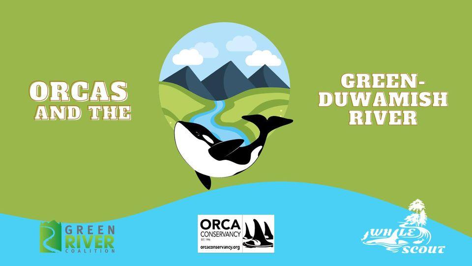 Salmon Restoration on the Green-Duwamish River | Seattle Area Family ...