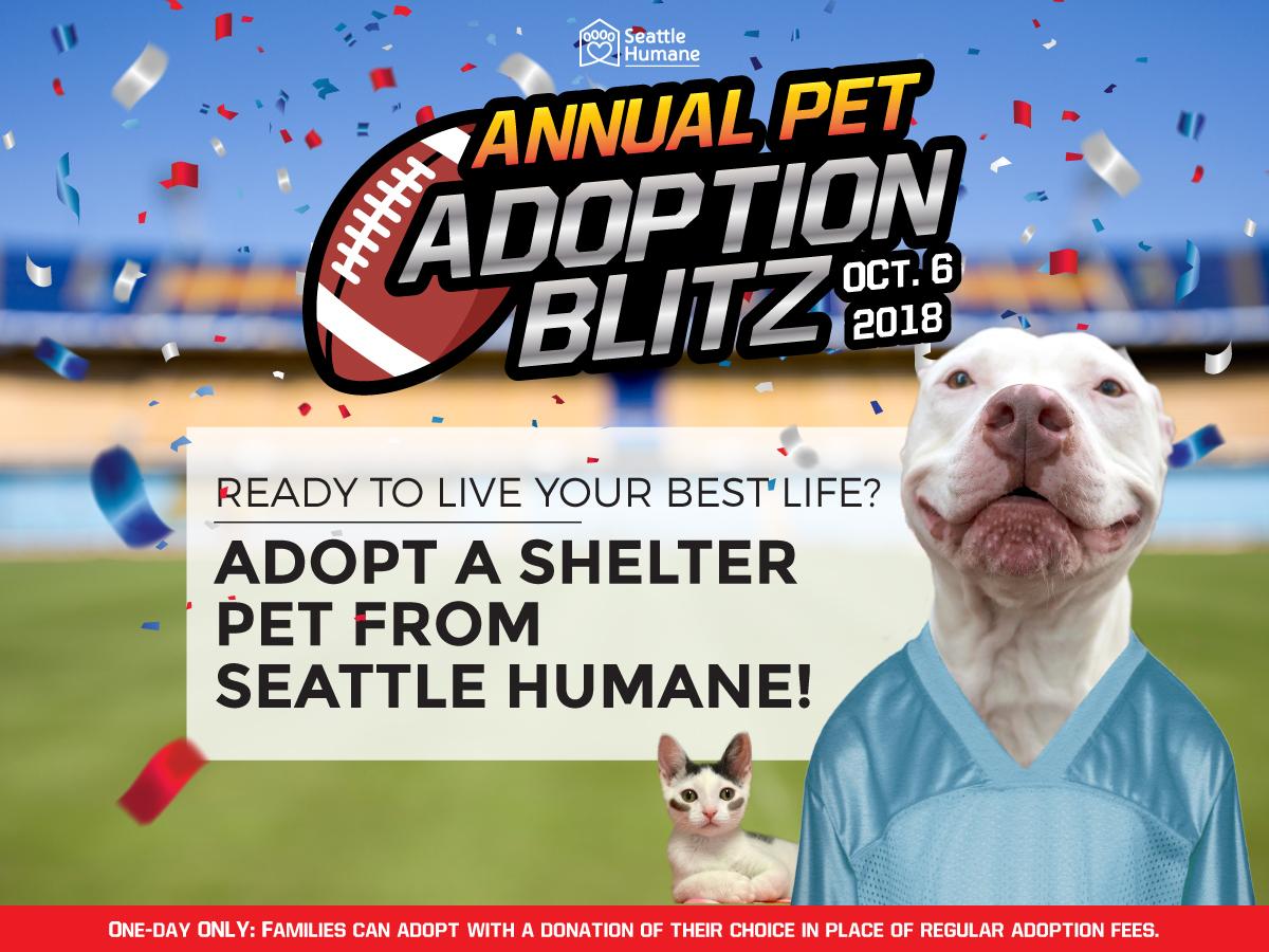 Seattle Humane's 2018 Pet Adoption Blitz | Seattle Area Family Fun ...