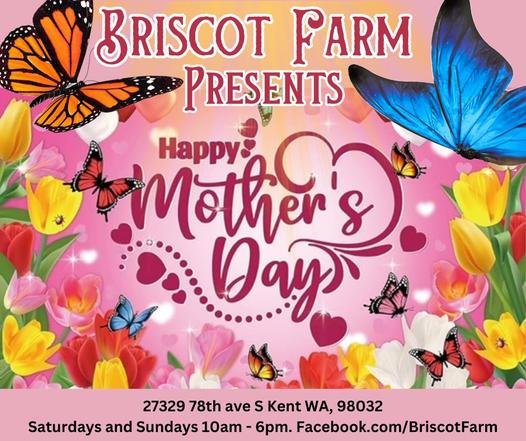 Free Admission for Moms at Briscot Farms | Seattle Area Family Fun ...