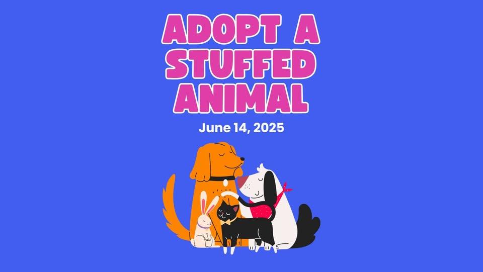 Adopt a Stuffed Animal at The Curious Bear | Seattle Area Family Fun ...