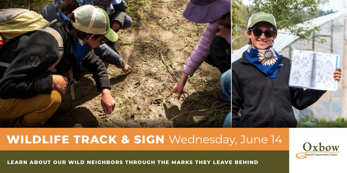 Oxbow Workshop: Wildlife Track & Sign | Seattle Area Family Fun ...