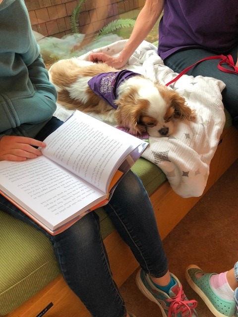 Bow Wow and Books at the Magnolia Library | Seattle Area Family Fun ...