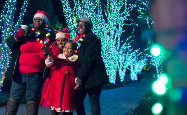 DAZZLE - A Walking Holiday Light Experience | Seattle Area Family Fun ...