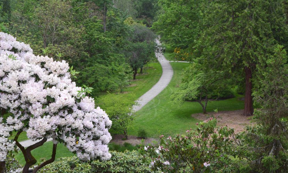 Self-Guided Adventures at the Arboretum | Seattle Area Family Fun ...