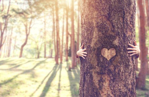 Hug a Tree for Earth Day | Seattle Area Family Fun Calendar | ParentMap