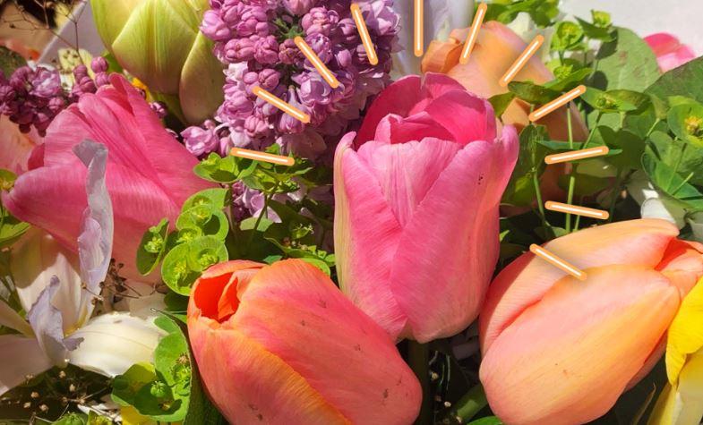 Drive-Thru Flower Festival | Seattle Area Family Fun Calendar | ParentMap