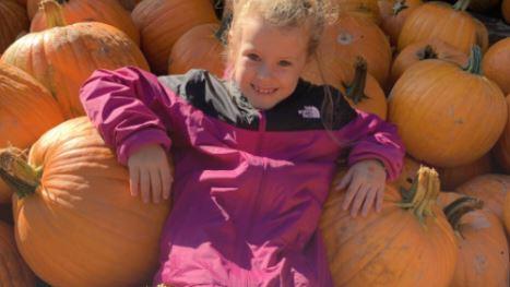 Remlinger Farms Fall Harvest Festival | Seattle Area Family Fun ...