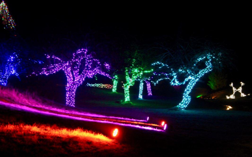 DAZZLE - A Walking Holiday Light Experience! | Seattle Area Family Fun ...