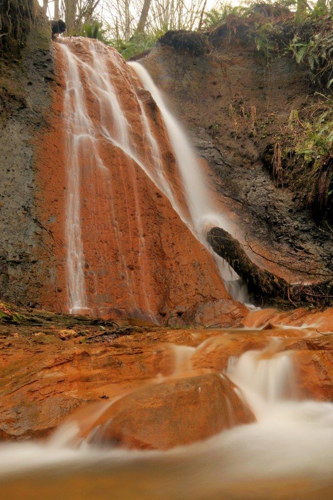 Ranger-led Hike at Coal Creek | Seattle Area Family Fun Calendar ...