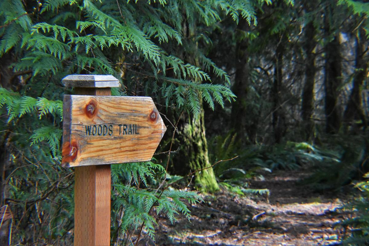 Guided Nature Walk: Uplands Wildlife Walk | Seattle Area Family Fun ...