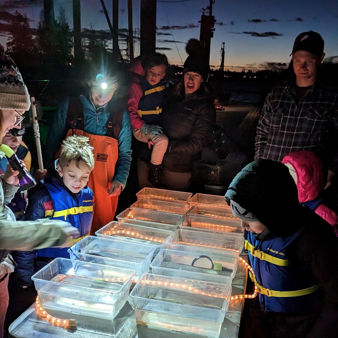 Pier Peer at Zittel's Marina | Seattle Area Family Fun Calendar | ParentMap